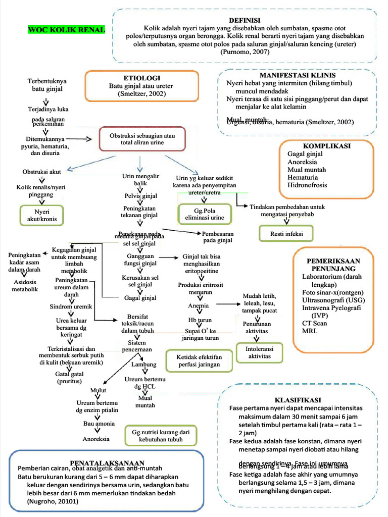 PDF Woc Kolik Renal Compress | PDF