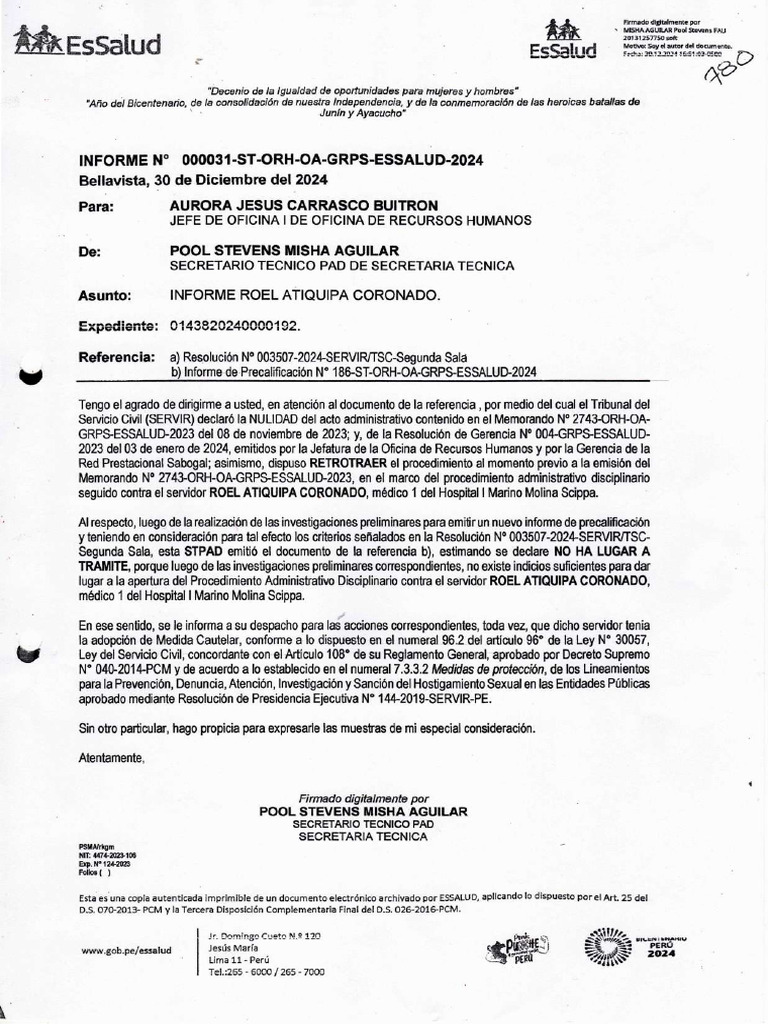 Documento Ultimo ROEL 2025 - Compressed | PDF