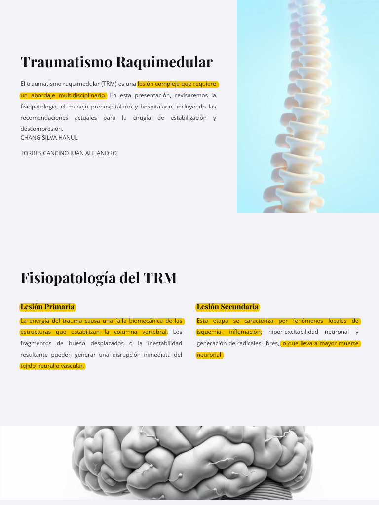 Manejo del Traumatismo Raquimedular | PDF | Neurología | Lesión de la ...