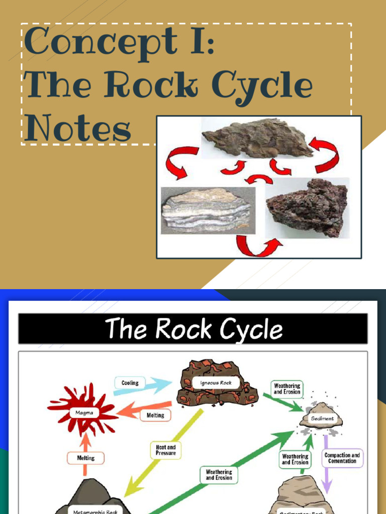 Concept I_ The Rock Cycle Notes | PDF | Rock (Geology) | Igneous Rock