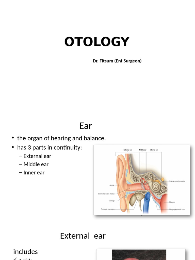 Overview of Ear Anatomy and Functions | PDF