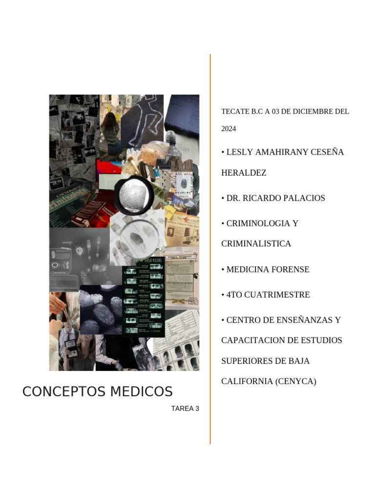 Tarea 4 | PDF | Anatomía | Piel