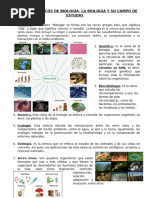 Sopa de Letras sobre Ecosistemas | PDF