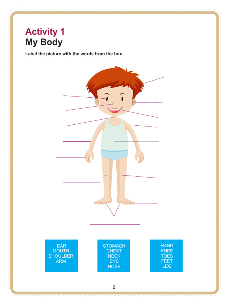5to Body Parts | PDF