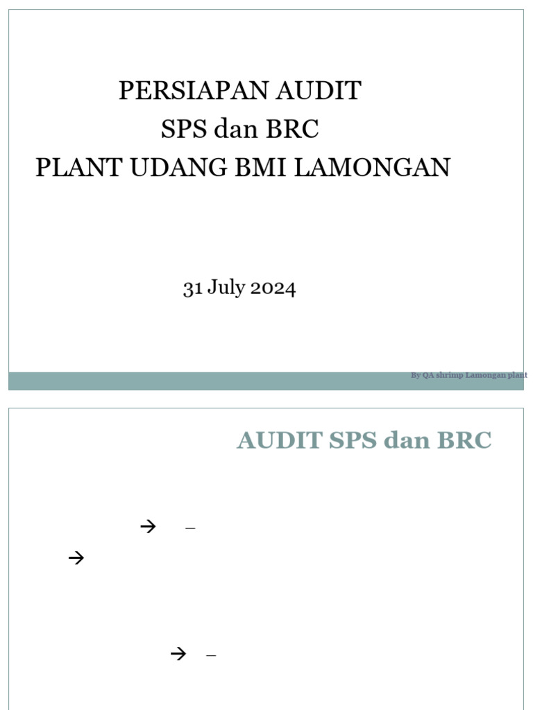 Persiapan BAP BRC 2024 | PDF