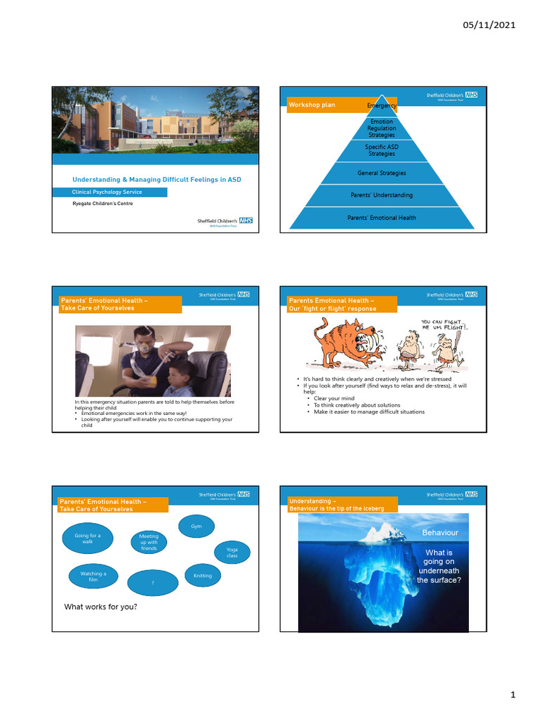 Understanding Managing Difficult Feelings in ASD PowerPoint Slides ...