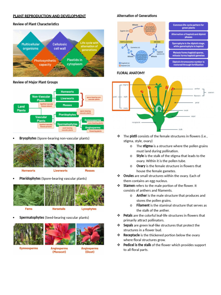 LESSON-2.2.3-PLANT-REPRODUCTION-AND-DEVELOPMENT | PDF | Plant ...