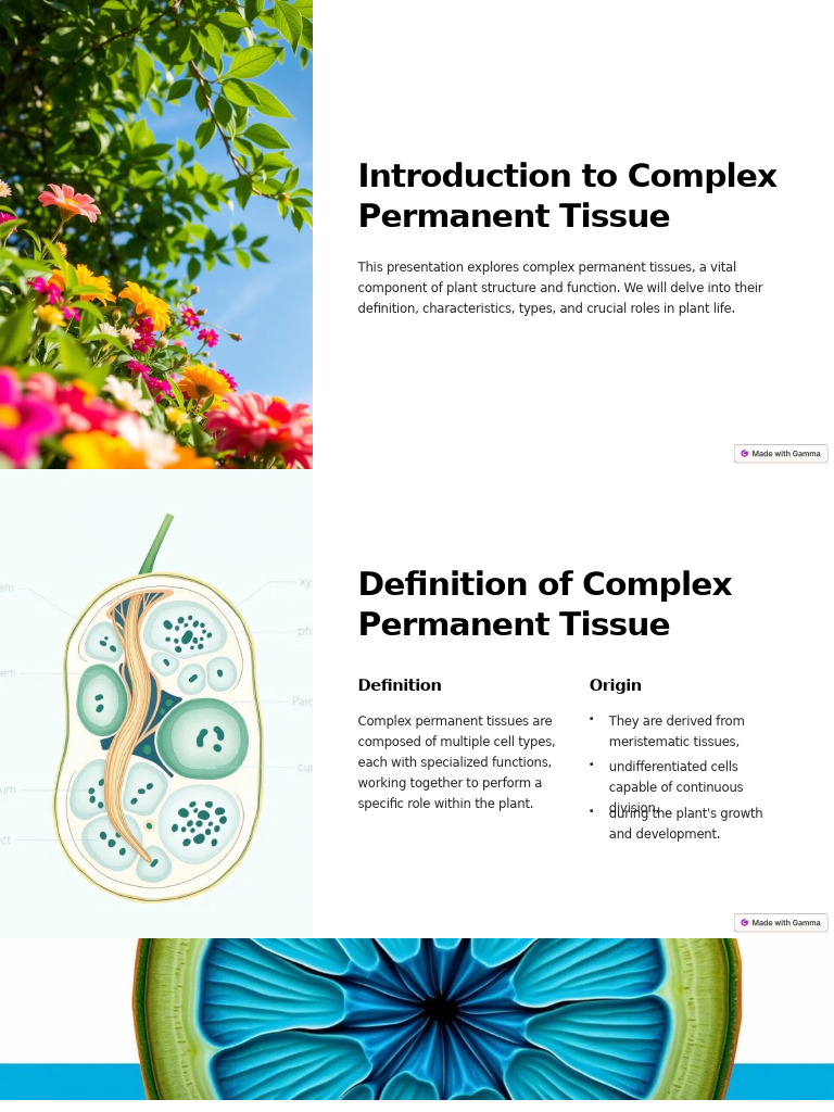 Introduction To Complex Permanent Tissue | PDF