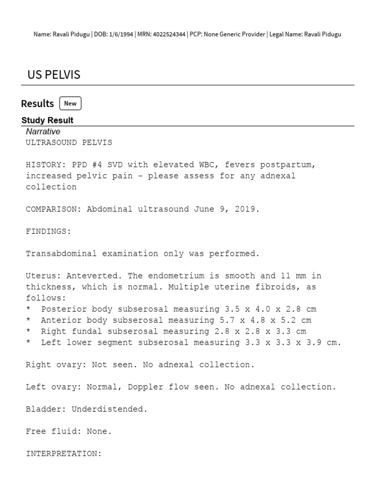 Us Pelvis 2 Jan 2025 | PDF