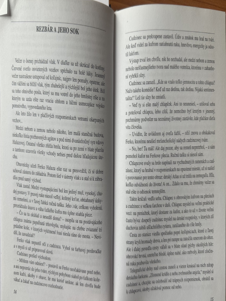 Rezbár A Jeho Sok (SK Version) | PDF