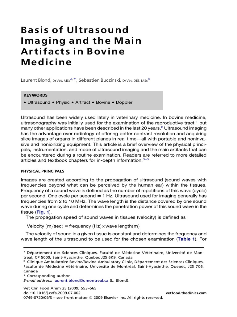 Basis of Ultrasound Imaging and The Main Artifacts in Bovine Medicine ...
