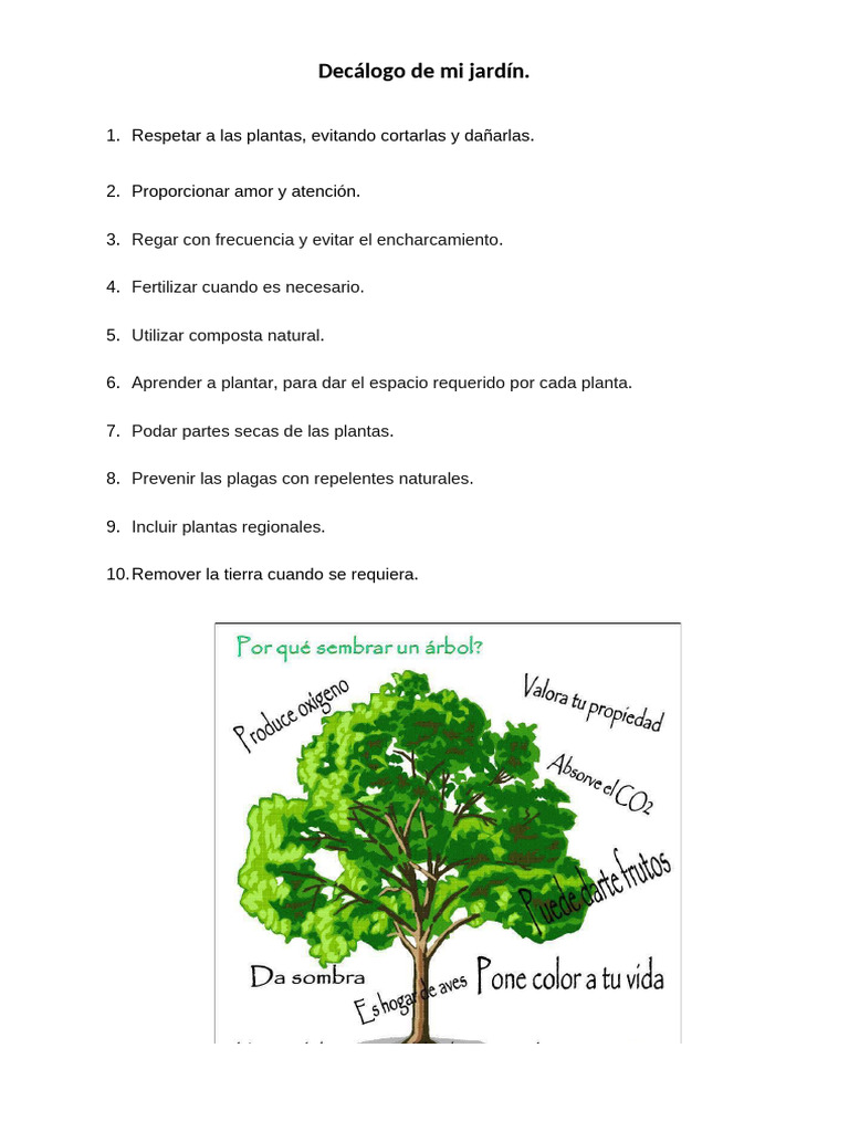 ACTIVIDADES PARA EL JARDIN | PDF