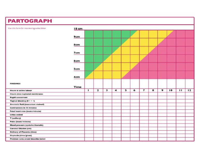 Partograph 1 | PDF
