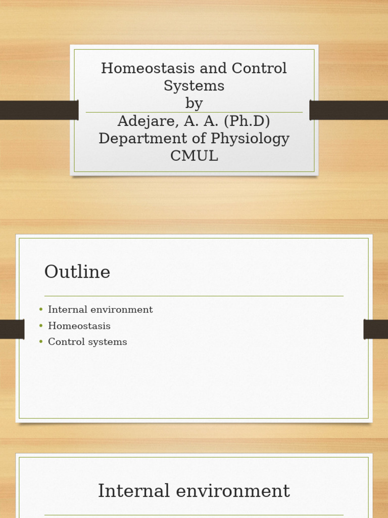 Homeostasis and Control Systems Explained | PDF | Homeostasis | Human Body