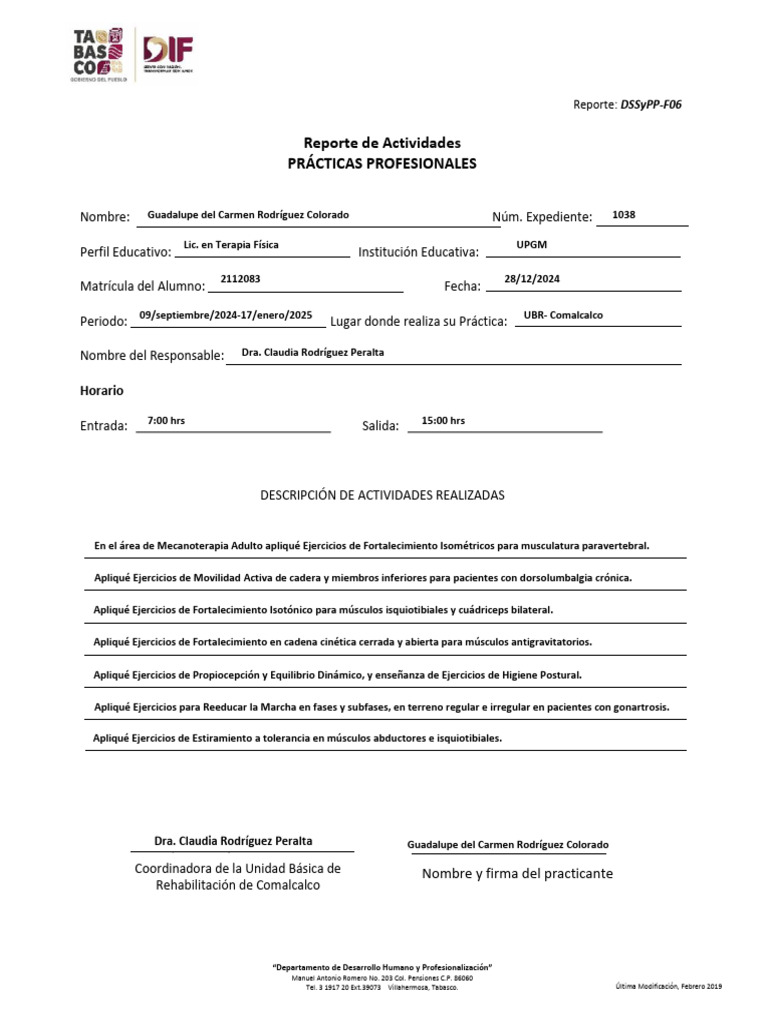 Reporte Dif de Diciembre | PDF | Sistema musculoesquelético | Tejido suave