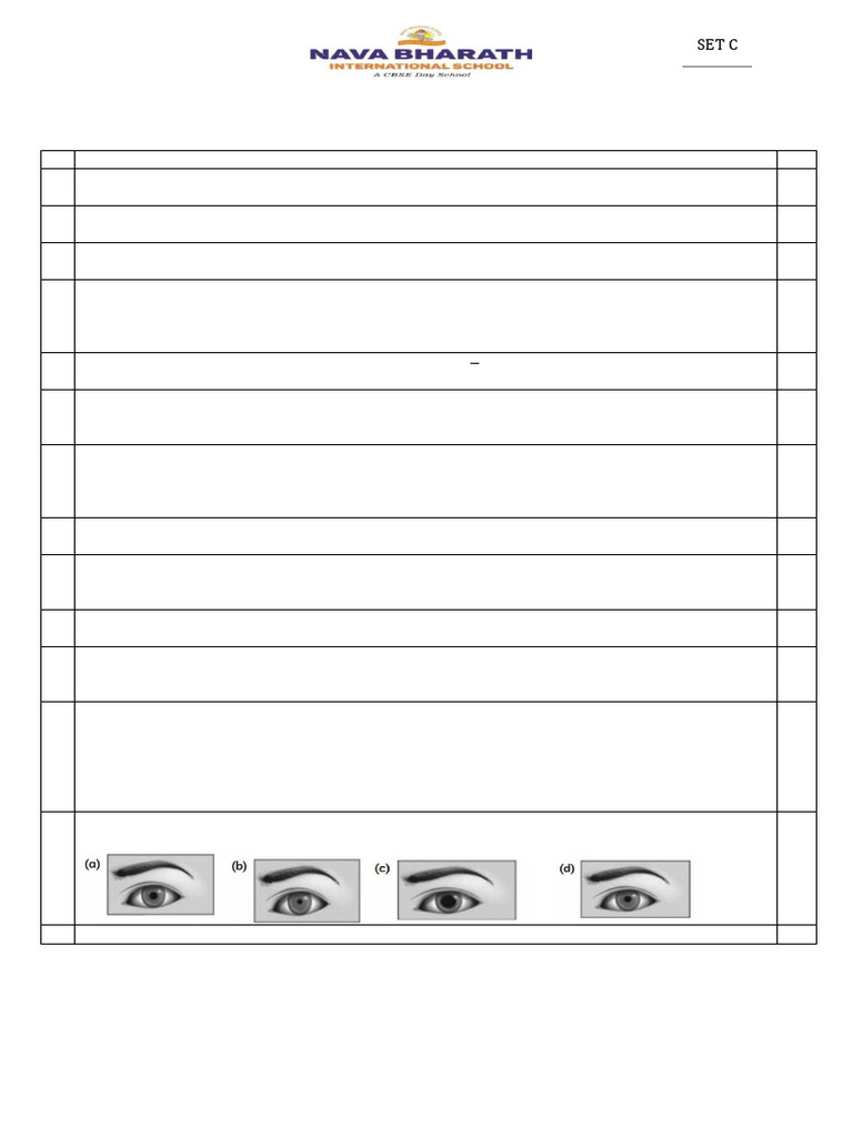 1556 20241226194340 B2e8c | PDF | Eye | Human Eye