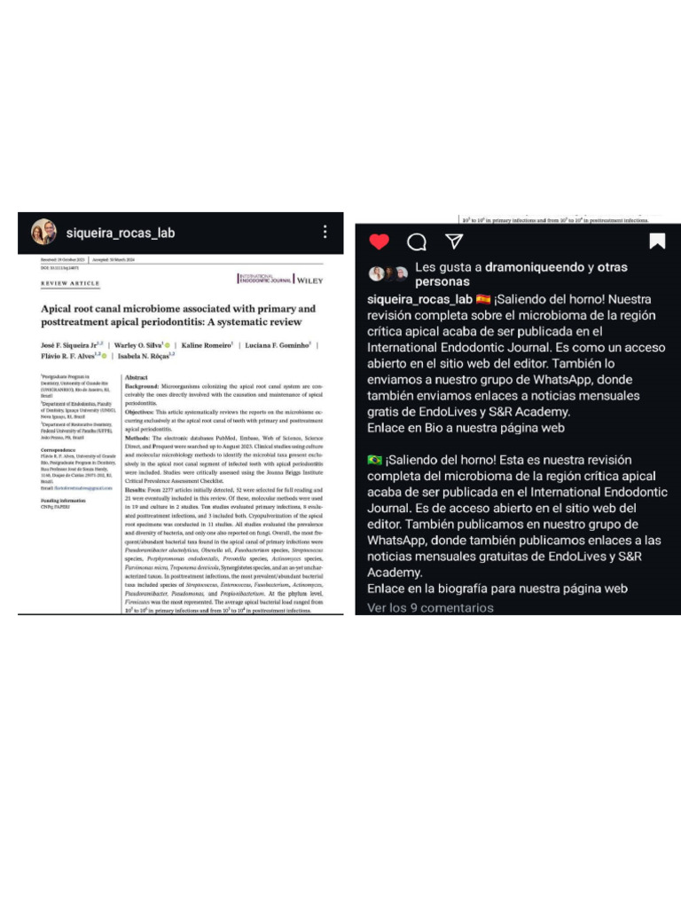 Artículo Endo | PDF