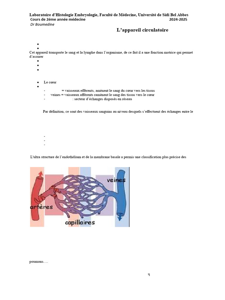 Anatomie des capillaires sanguins | PDF | Capillaire | Vaisseau sanguin