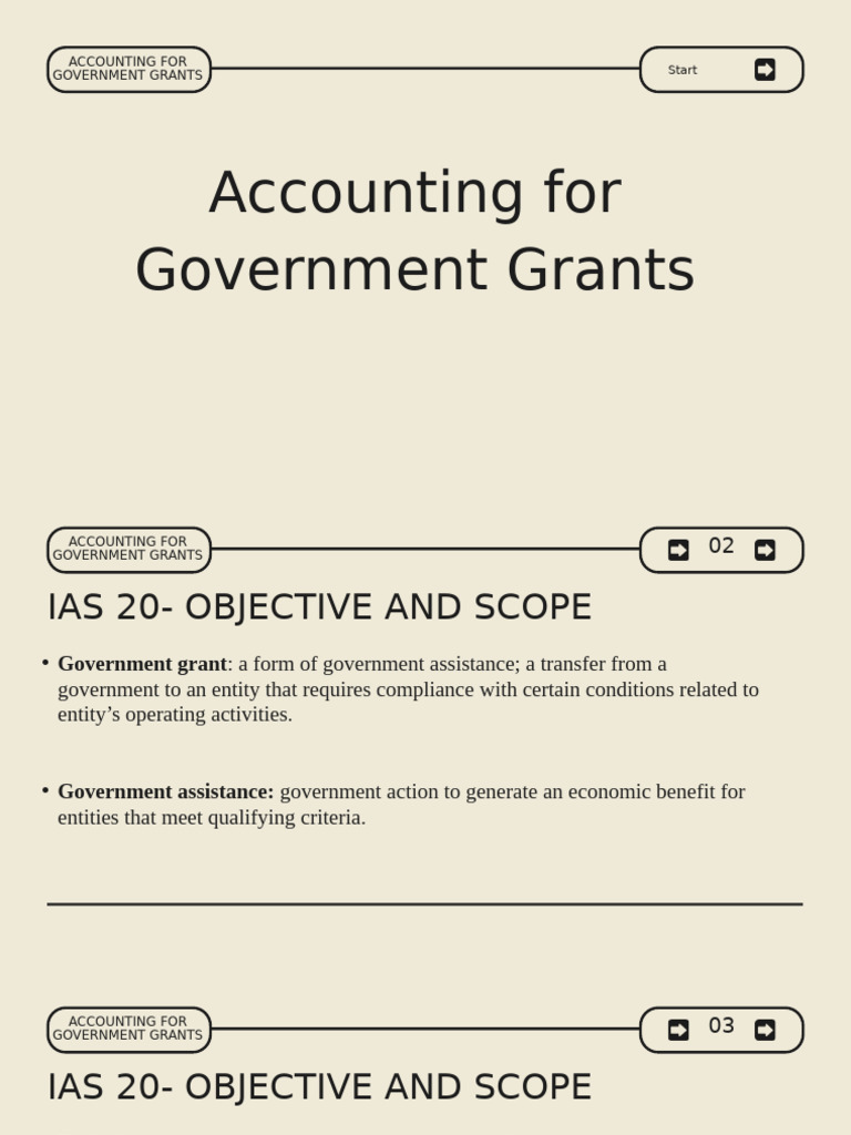 Government Grants Accounting Guide | PDF | Depreciation | International ...