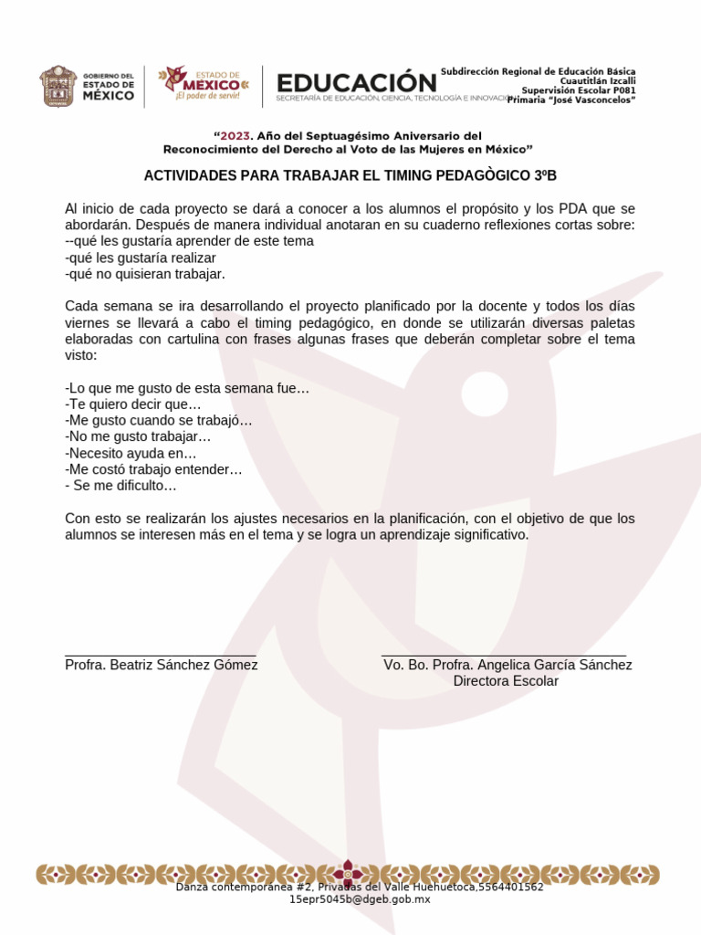 Timimg Pedagogico | PDF