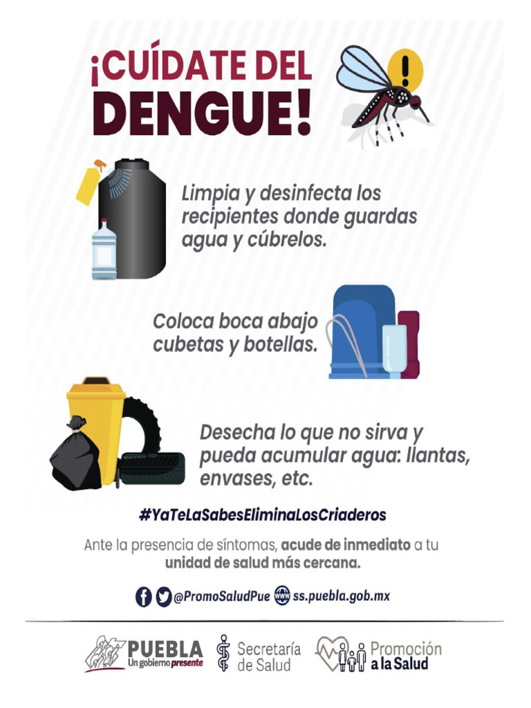 Infografia Dengue | PDF
