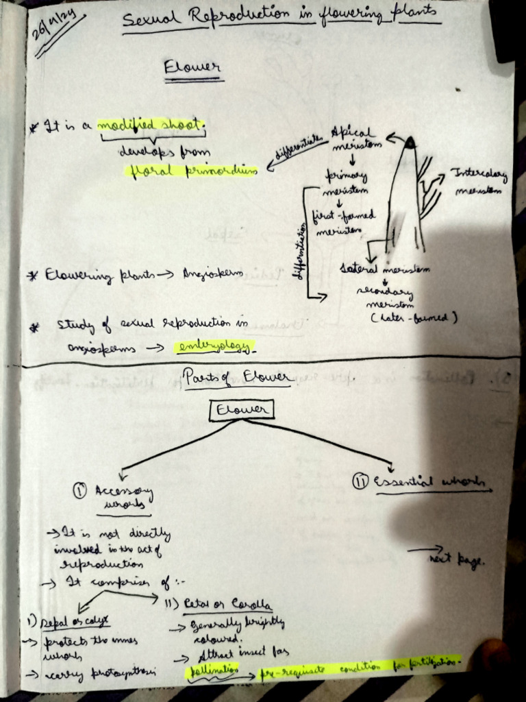 Bio Chap 1 Notes | PDF