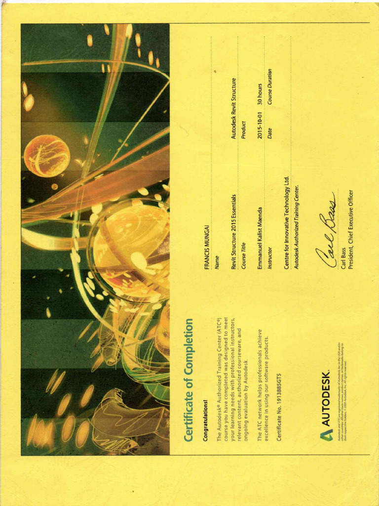 AutoDesk Revit Certificate | PDF