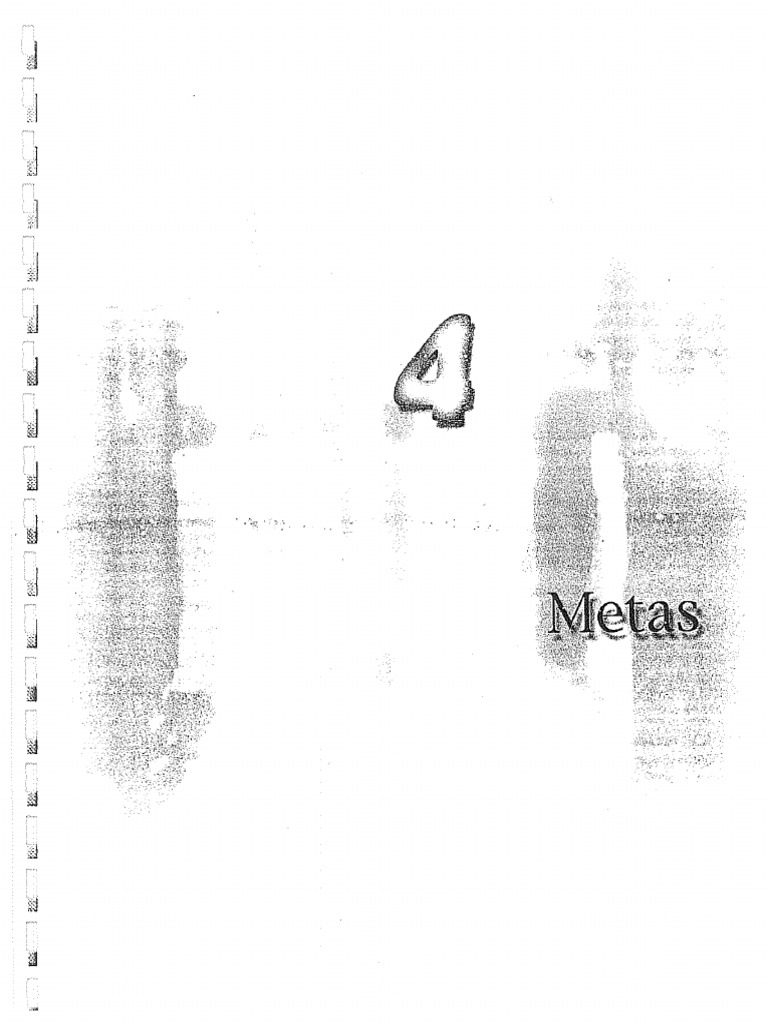 4 - Metas | PDF