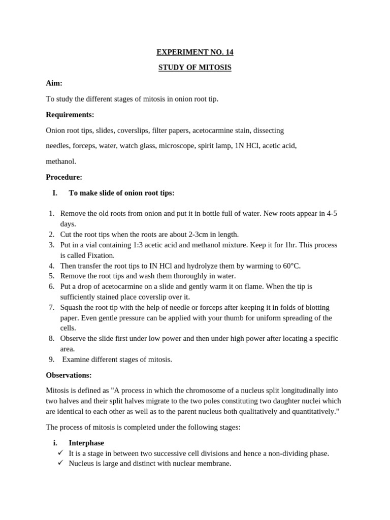 Uis W STUDY OF MITOSIS Tms | PDF | Chromosome | Cell Nucleus