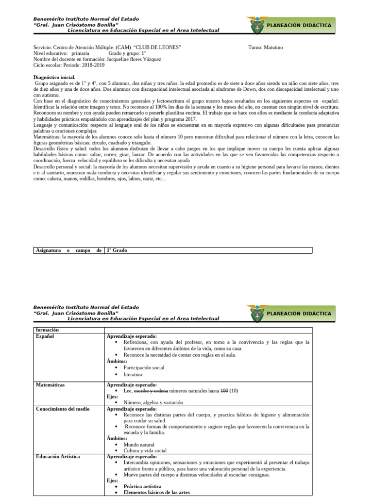 Formato Unidad Didáctica Primaria | PDF | Discapacidad intelectual | Las emociones