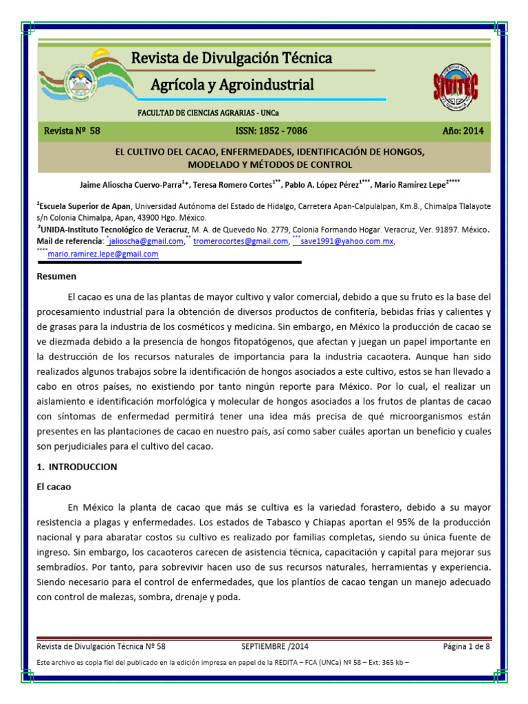 Redita Revista58 | PDF