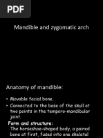 Radiography Positioning Guide | PDF | Anatomical Terms Of Location ...