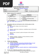 Class 5-Science Notes-The Nervous System | PDF | Brain | Nerve