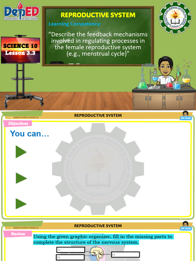 Lesson 3.3 Reproductive System | PDF | Menstrual Cycle | Reproductive ...