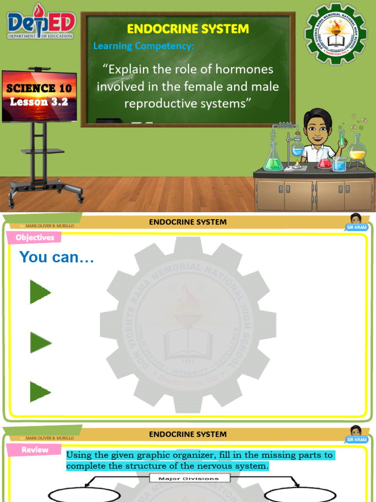 Lesson 3.2 Endocrine System | PDF | Endocrine System | Luteinizing Hormone