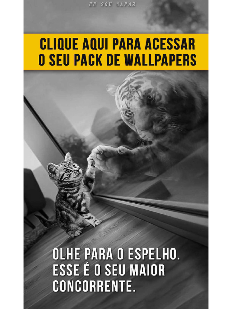 Pack de Wallpapers | PDF