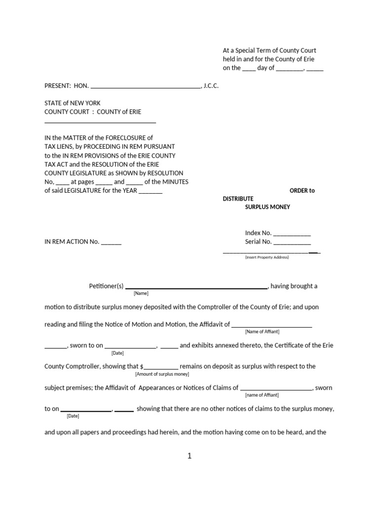 Order of Distribution County in Rem | PDF | Affidavit