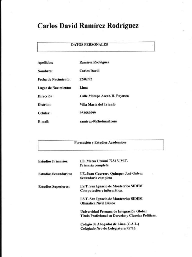 Currículum Vitae de Carlos David Ramírez | PDF | Etapas educativas