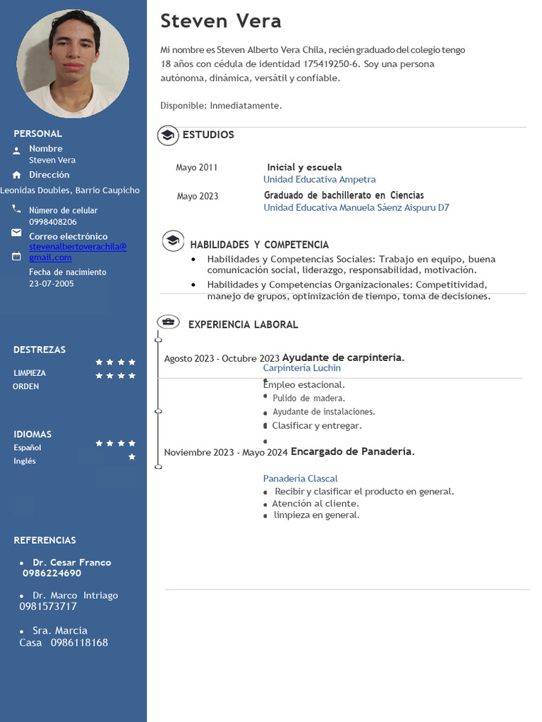 CV - Steven 123 | PDF