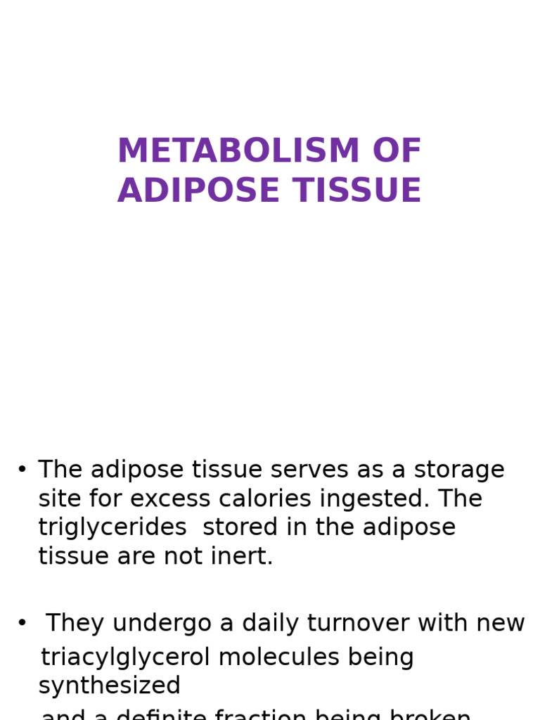 Adipose Tissue Metabolism 2024 | PDF | Organic Compounds | Cellular ...