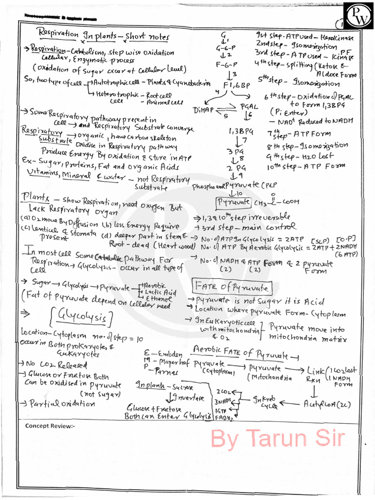 Respiration in Plant - Short Notes - Yakeen 2023 Live | PDF