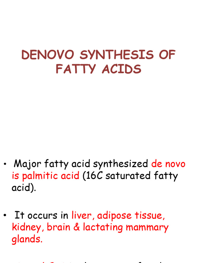 Denovo Synthesis of Fatty Acids - 2024 | PDF | Biosynthesis | Glycolysis