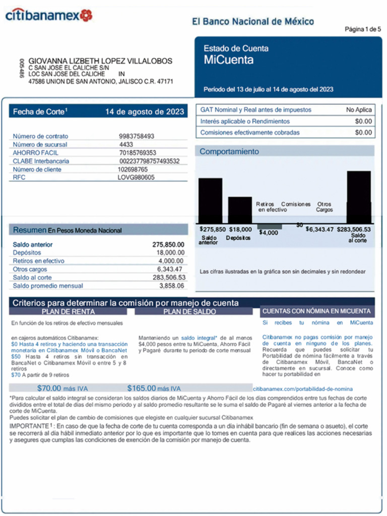 Banamex | PDF