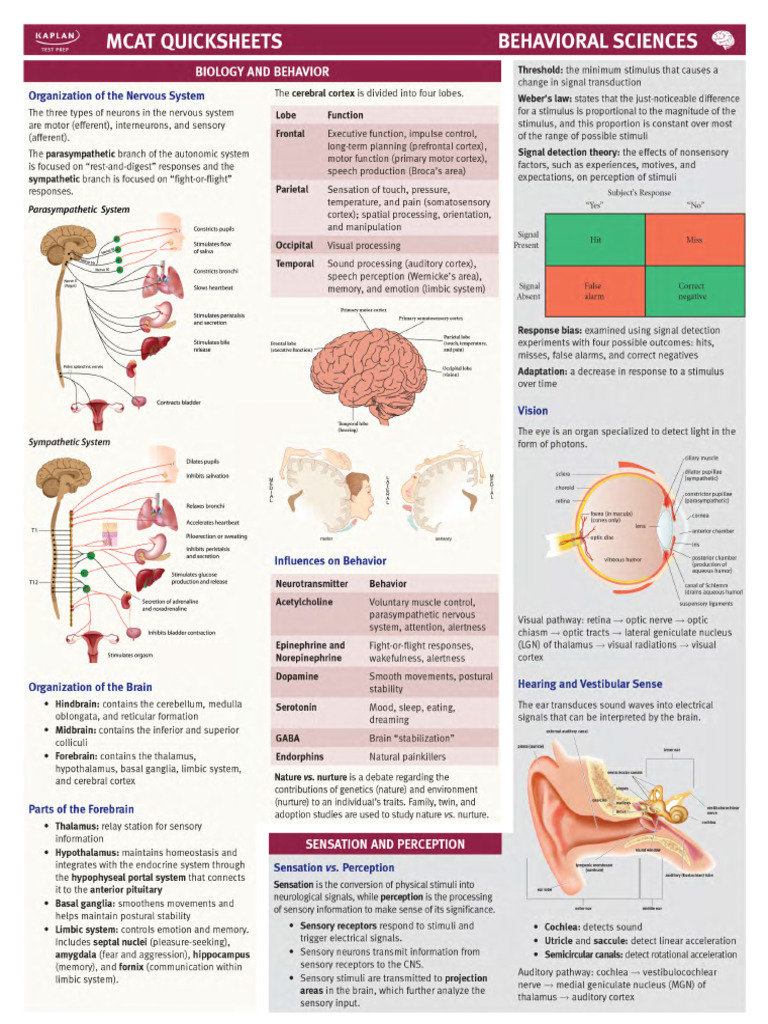 Ktp MCAT Quicksheets | PDF