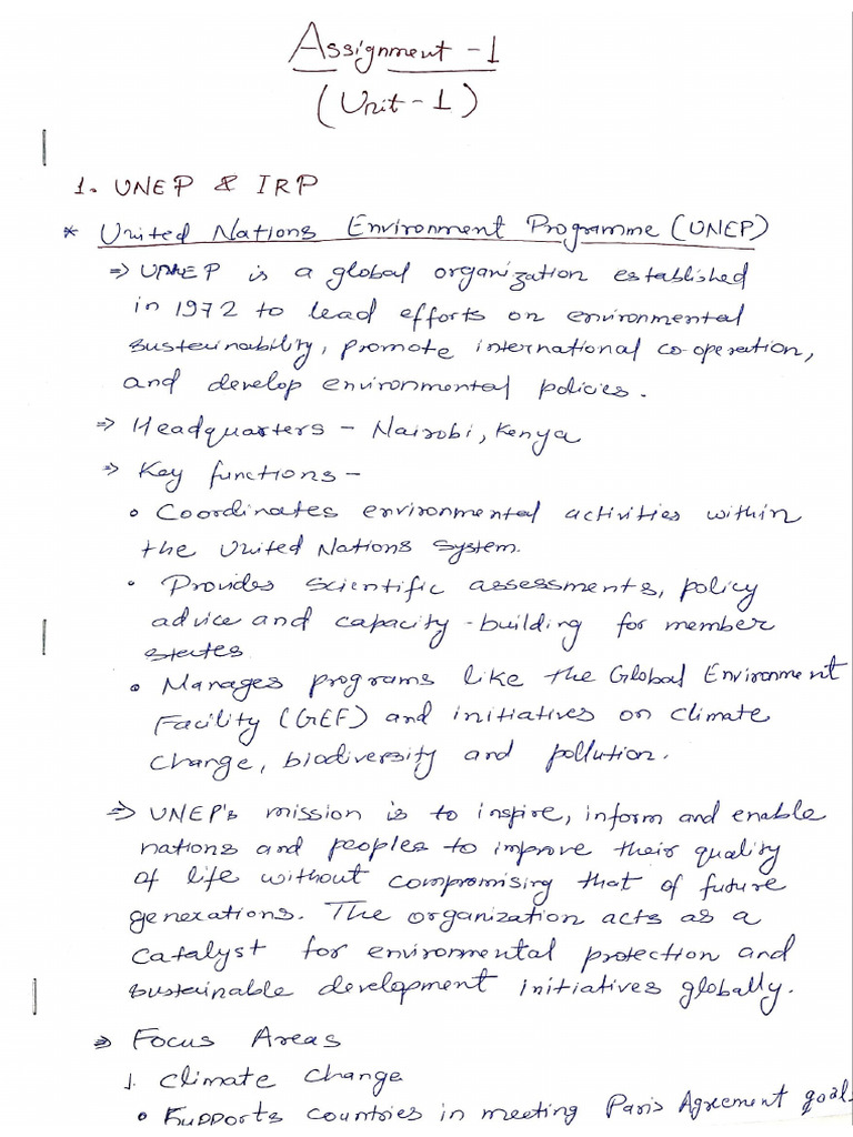 Unit 1 Assignment | PDF
