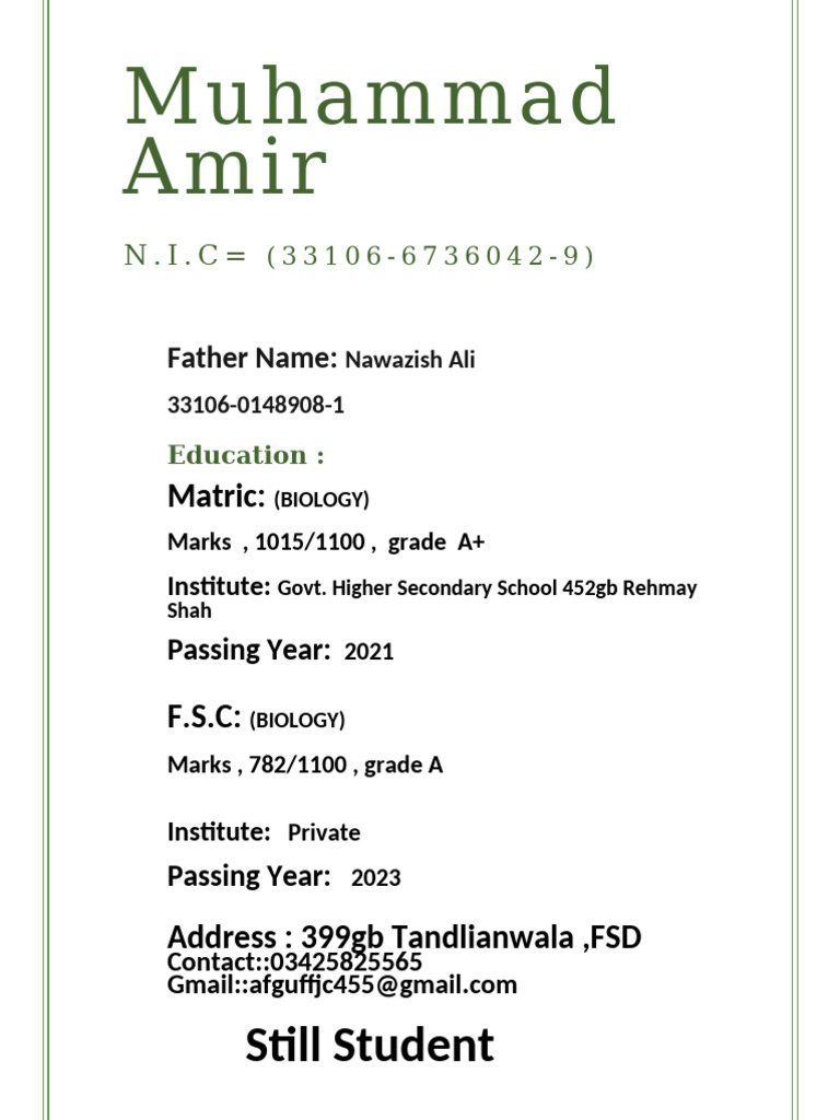 Muhammad Amir CV PDF.pdf | PDF