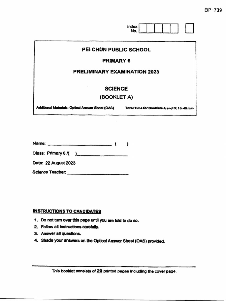 P6 Science 2023 SA2 Peichun | PDF