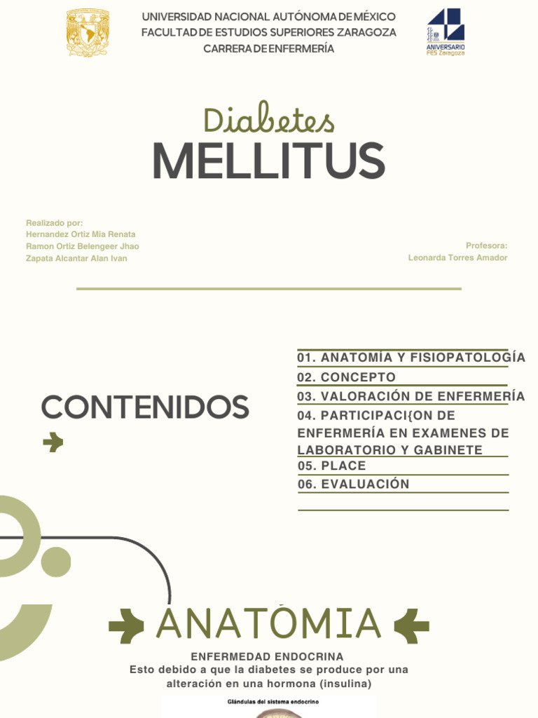Diabetes Mellitus: Anatomía y Enfermería | PDF | Insulina | Diabetes