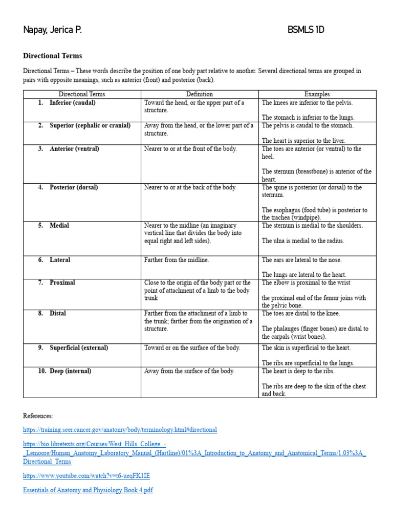 Directional Terms - Assignment 1 | PDF | Anatomical Terms Of Location ...