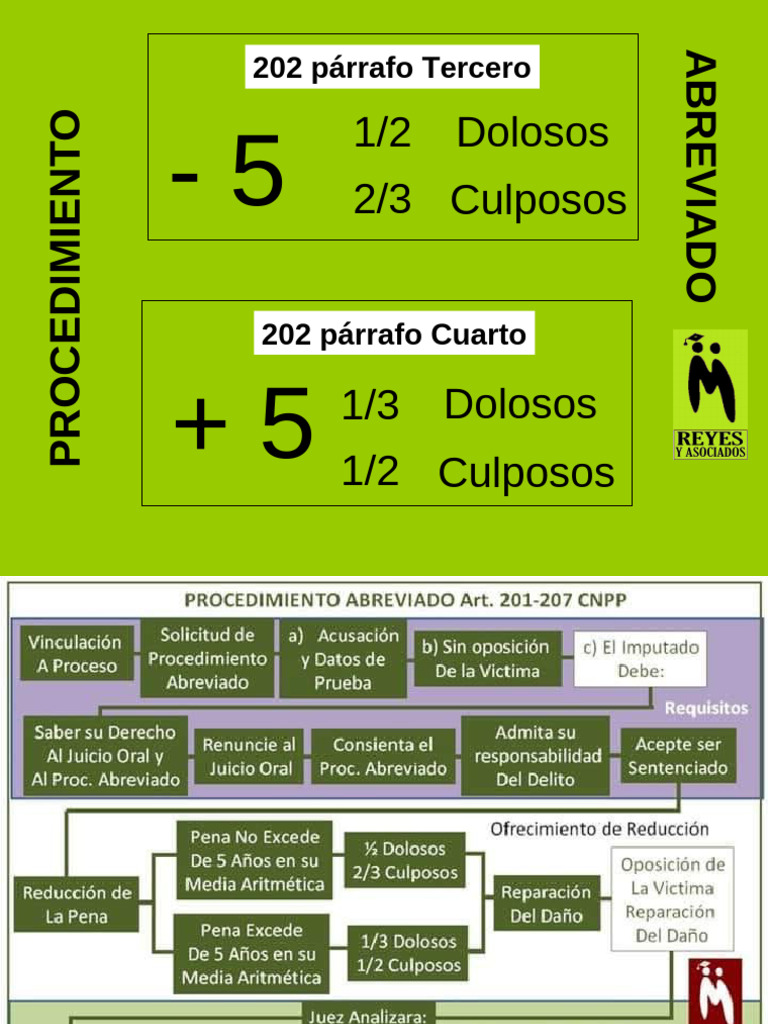 Procedimiento Abreviado | PDF